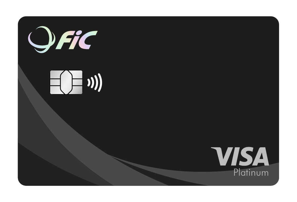 Platinum – Financiera